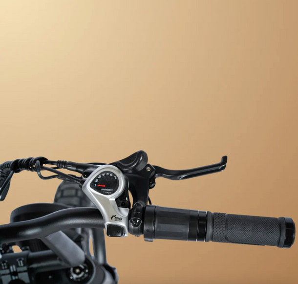 CRUZR BARREL Electric Bike – EV Speed