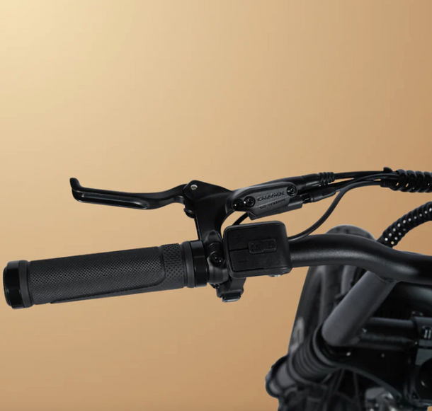 CRUZR BARREL Electric Bike – EV Speed