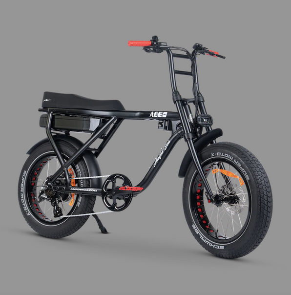 Ace Electric Bikes – EV Speed