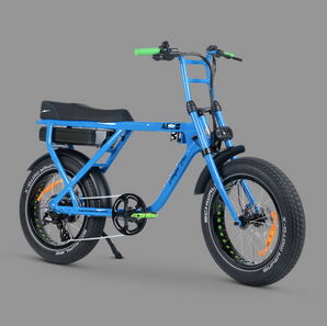 Ace Electric Bikes – EV Speed