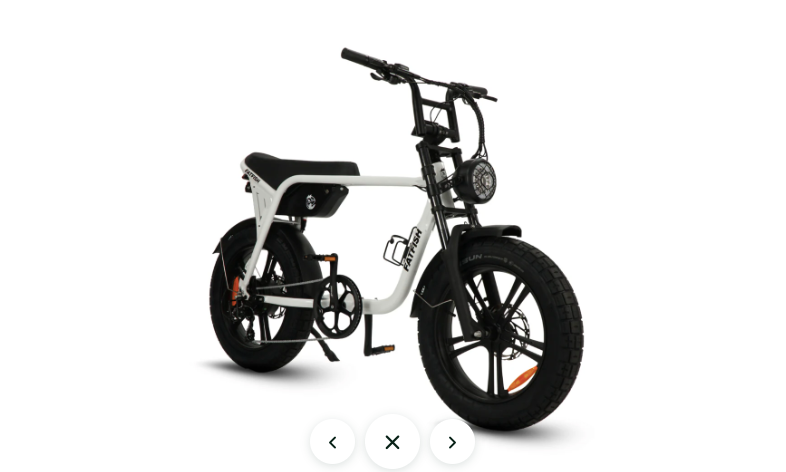 FATFISH OG 17AH Fat Tyre Electric Bike – EV Speed
